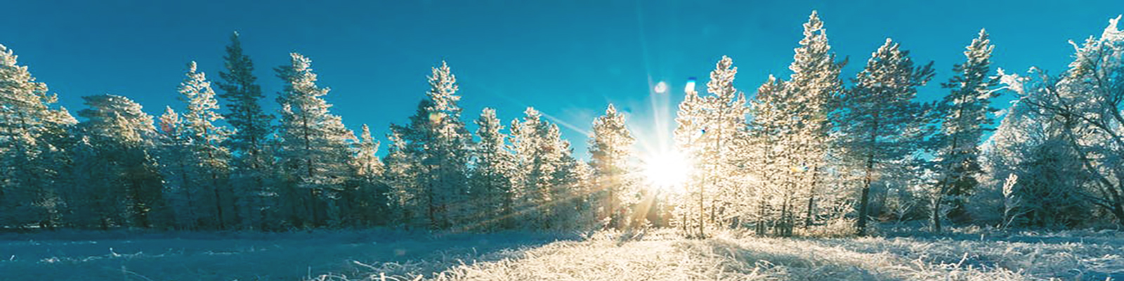 VMBN | Vereniging Mindfulness Based Trainers Nederland en Vlaanderen