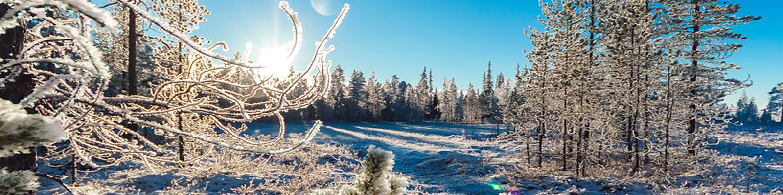 VMBN | Vereniging Mindfulness Based Trainers Nederland en Vlaanderen