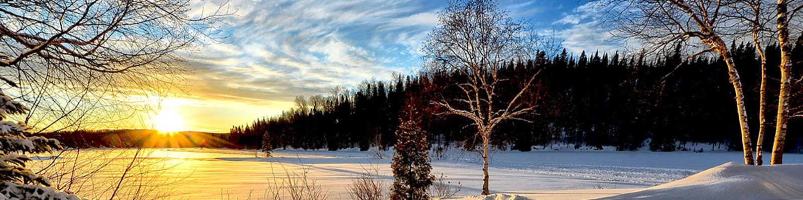 VMBN | Vereniging Mindfulness Based Trainers Nederland en Vlaanderen