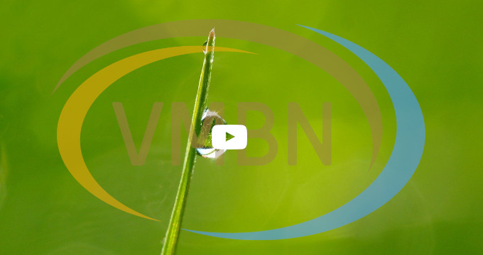VMBN | Vereniging Mindfulness Based Trainers Nederland