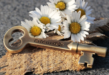 Corona informatie van de VMBN voor mindfulnesstrainers